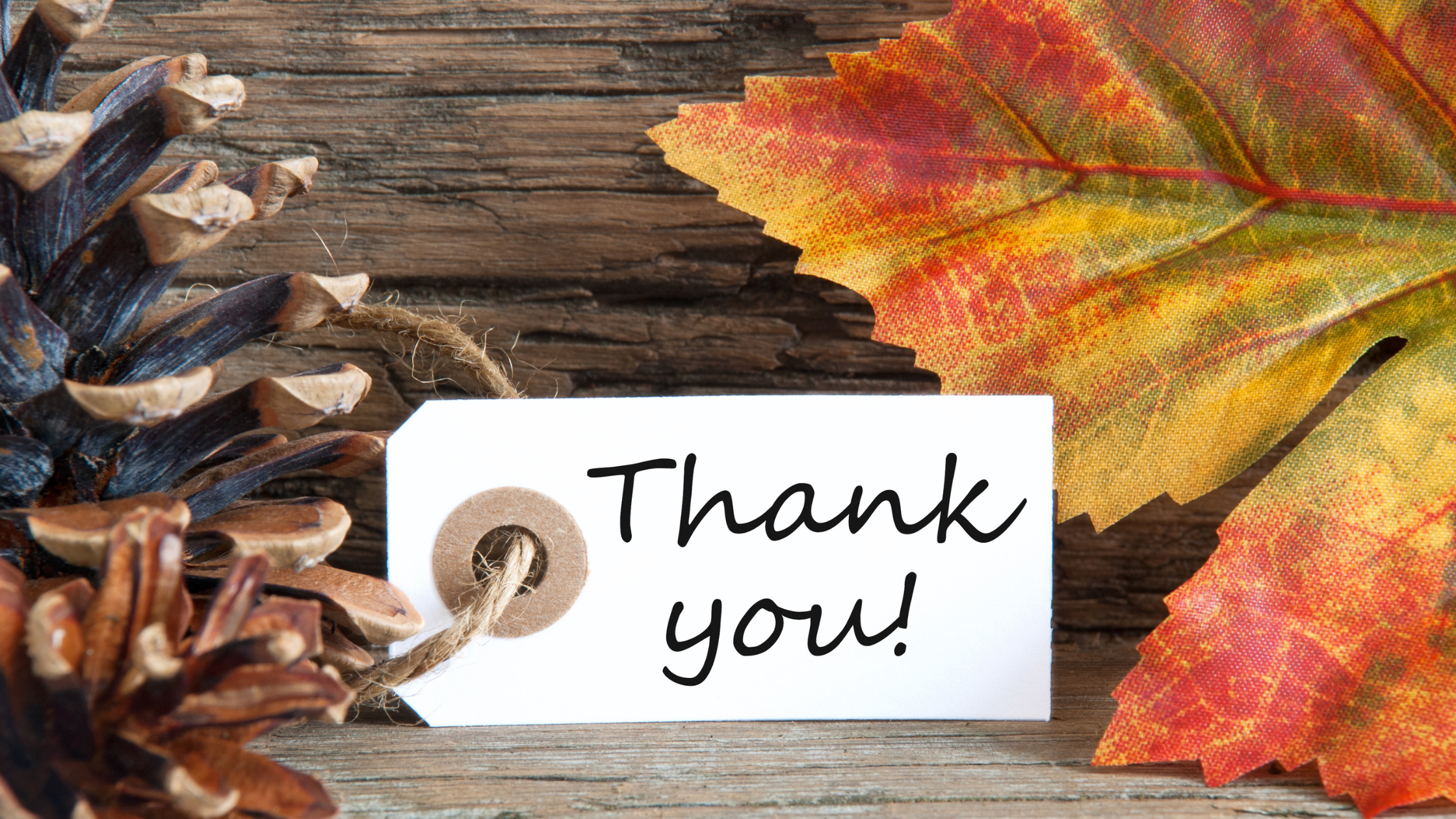 Personalize Your Hostess & Friend Gifts This Fall Season! – Disguise ...