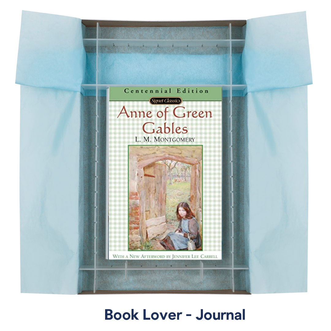 2 Pack Divider & Shirt Box Bundle (Choose Your 2 Colors) – Disguise The ...